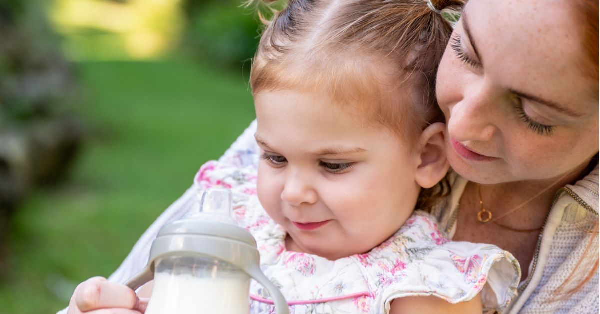 Biostime HPO Toddler Milk Drink: Product Feature 2024 | Kiindred