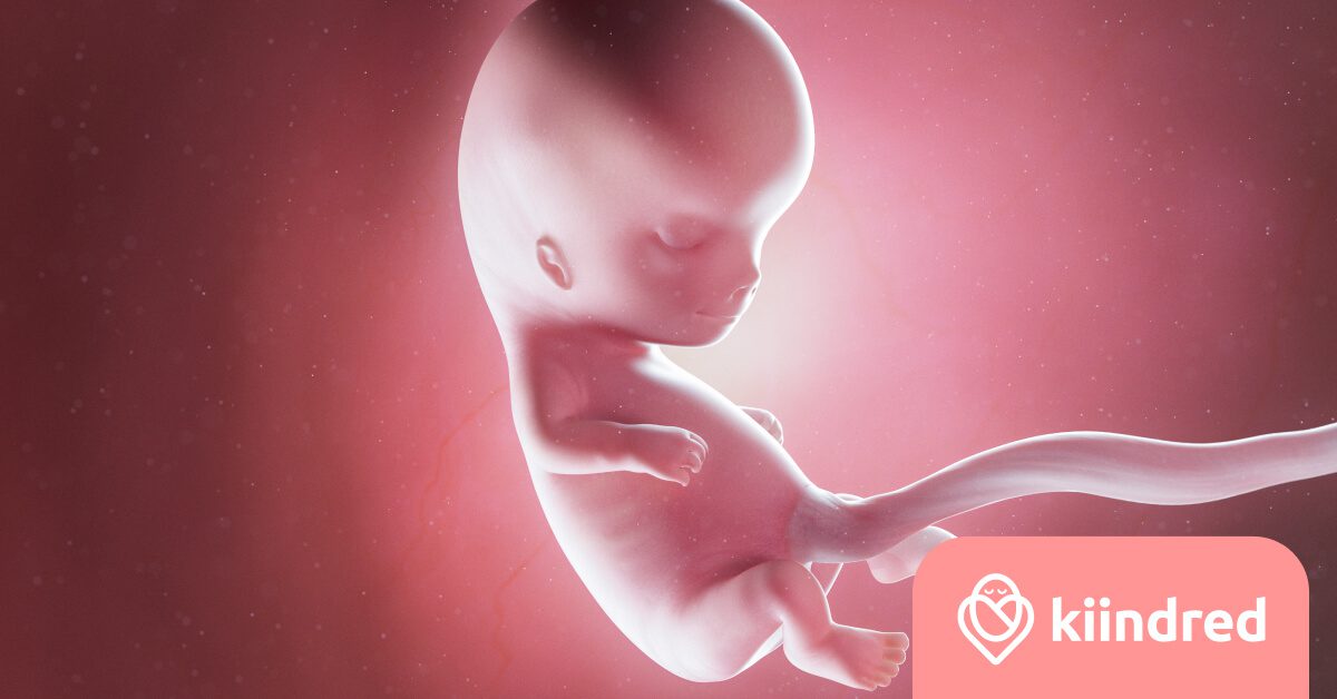 What to expect at 10 weeks pregnant - Kiindred