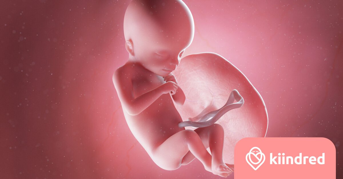 What to expect at 18 weeks pregnant - Kiindred