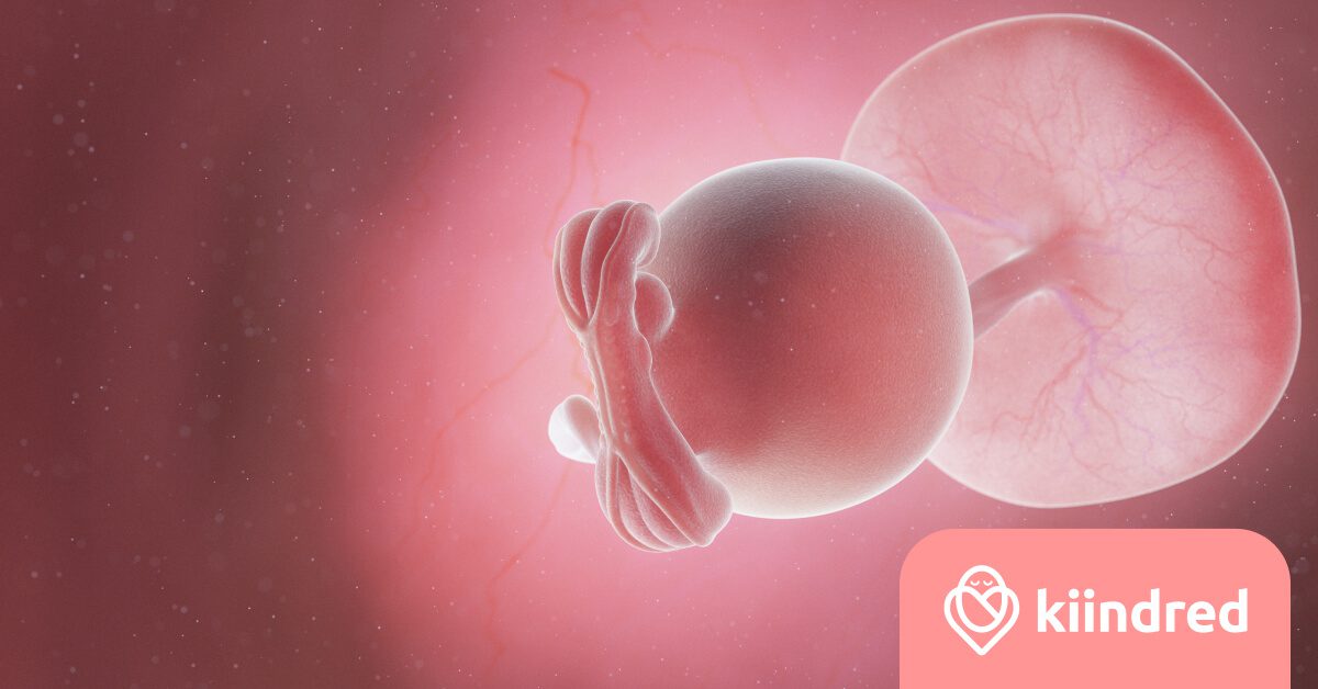 What to expect: Your pregnancy at 5 weeks | Kiindred