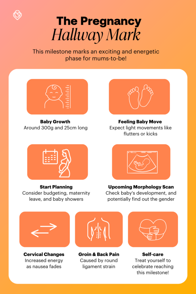 Pregnancy Half Way Mark | Kiindred