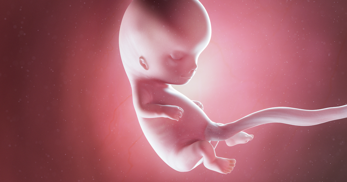 10 weeks pregnant: Symptoms, tips, and baby development | Kiindred