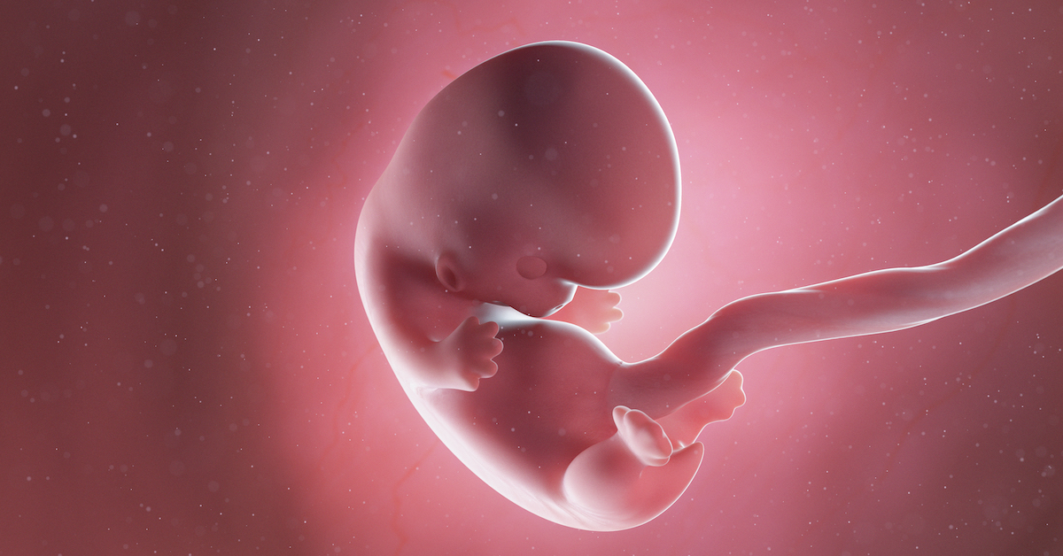 8 weeks pregnant: Symptoms, tips, and baby development | Kiindred