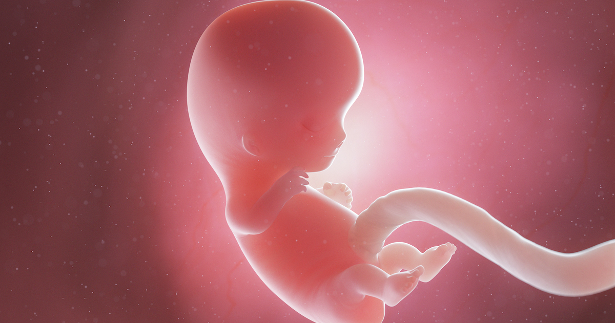 9 weeks pregnant: Symptoms, tips, and baby development | Kiindred