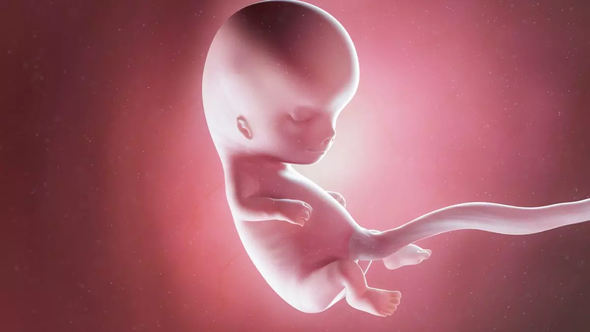 What to expect at 10 weeks pregnant | Kiindred