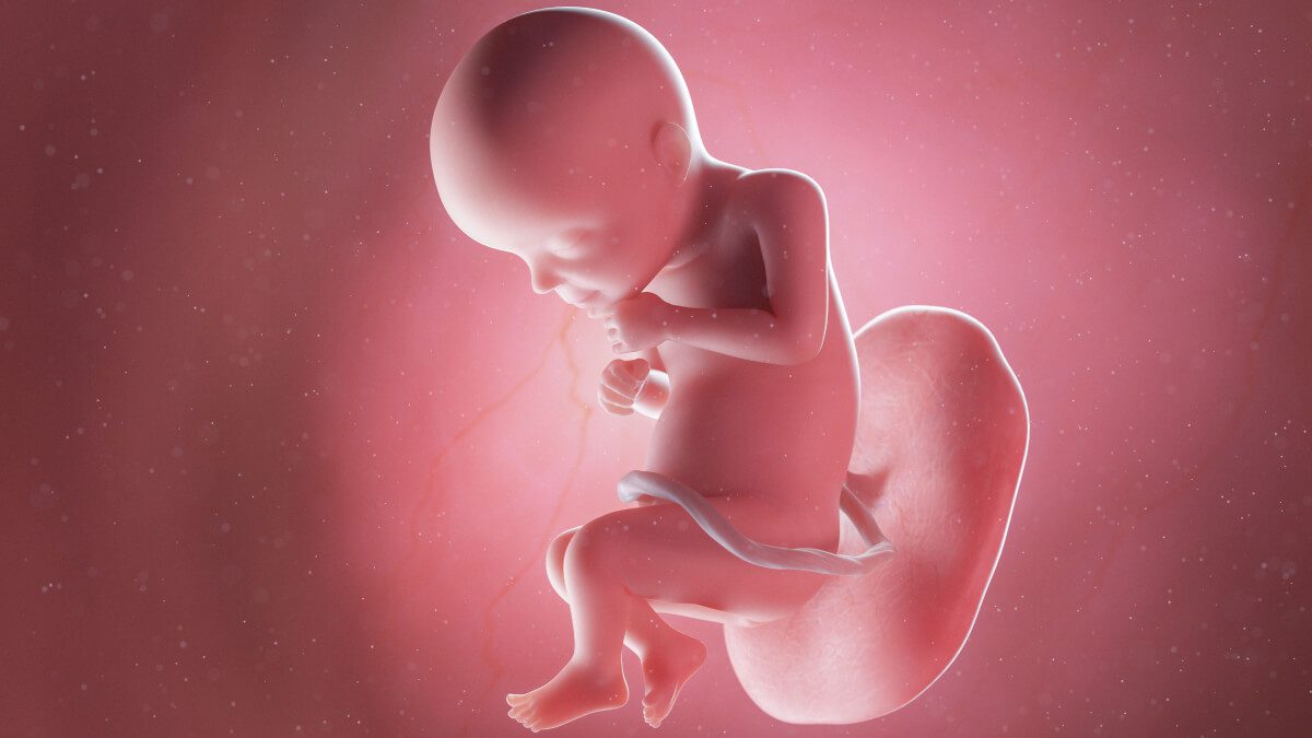 What to expect at 28 weeks pregnant | Kiindred