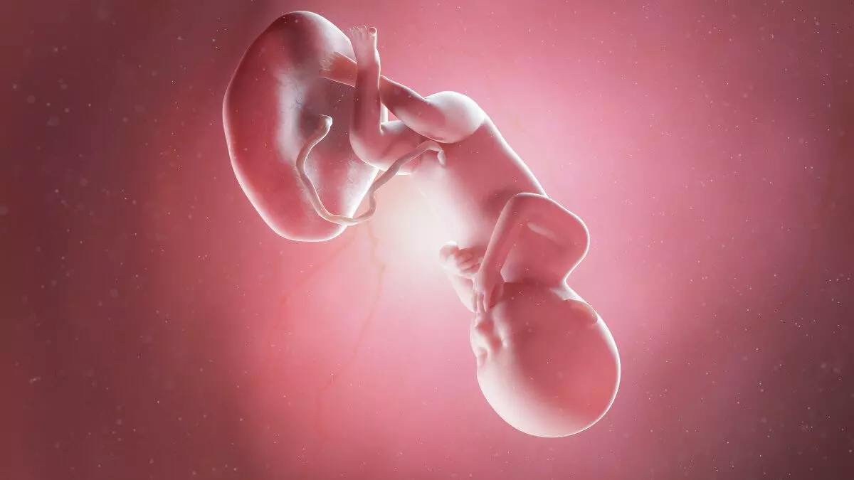 What to expect at 36 weeks pregnant | Kiindred