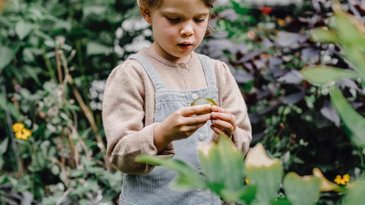 Teaching sustainability for kids | Kiindred