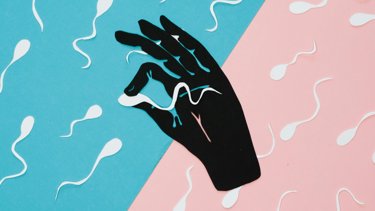 Understanding sperm donation in Australia | Kiindred