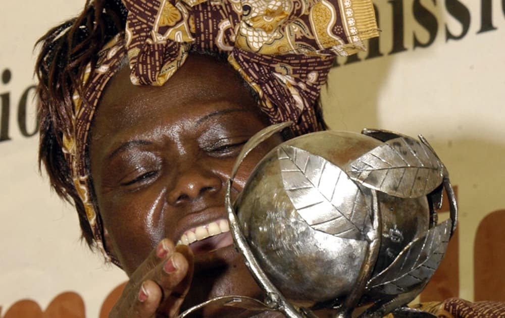 10 female role models in history who changed the world | Kiindred