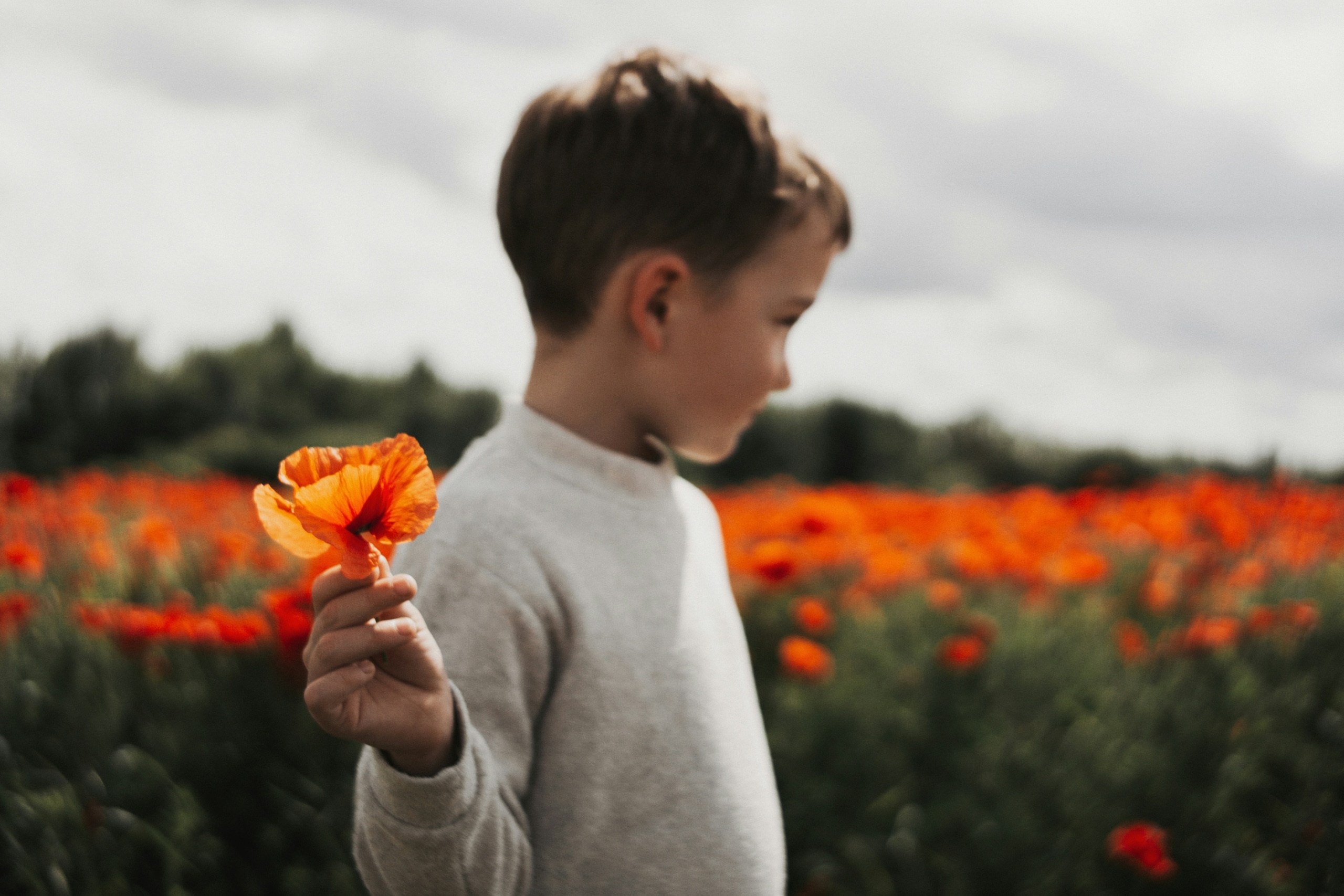 How to Talk to Your Kids About Remembrance Day: From Preschool to ...
